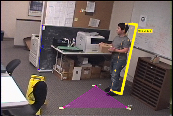 Crime Scene Video Analysis: From Investigation to Court